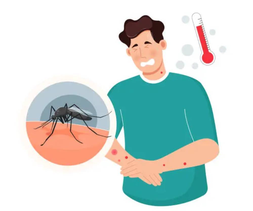 Effective Mosquito Control in Davao | Strategies for the Rainy Season ...